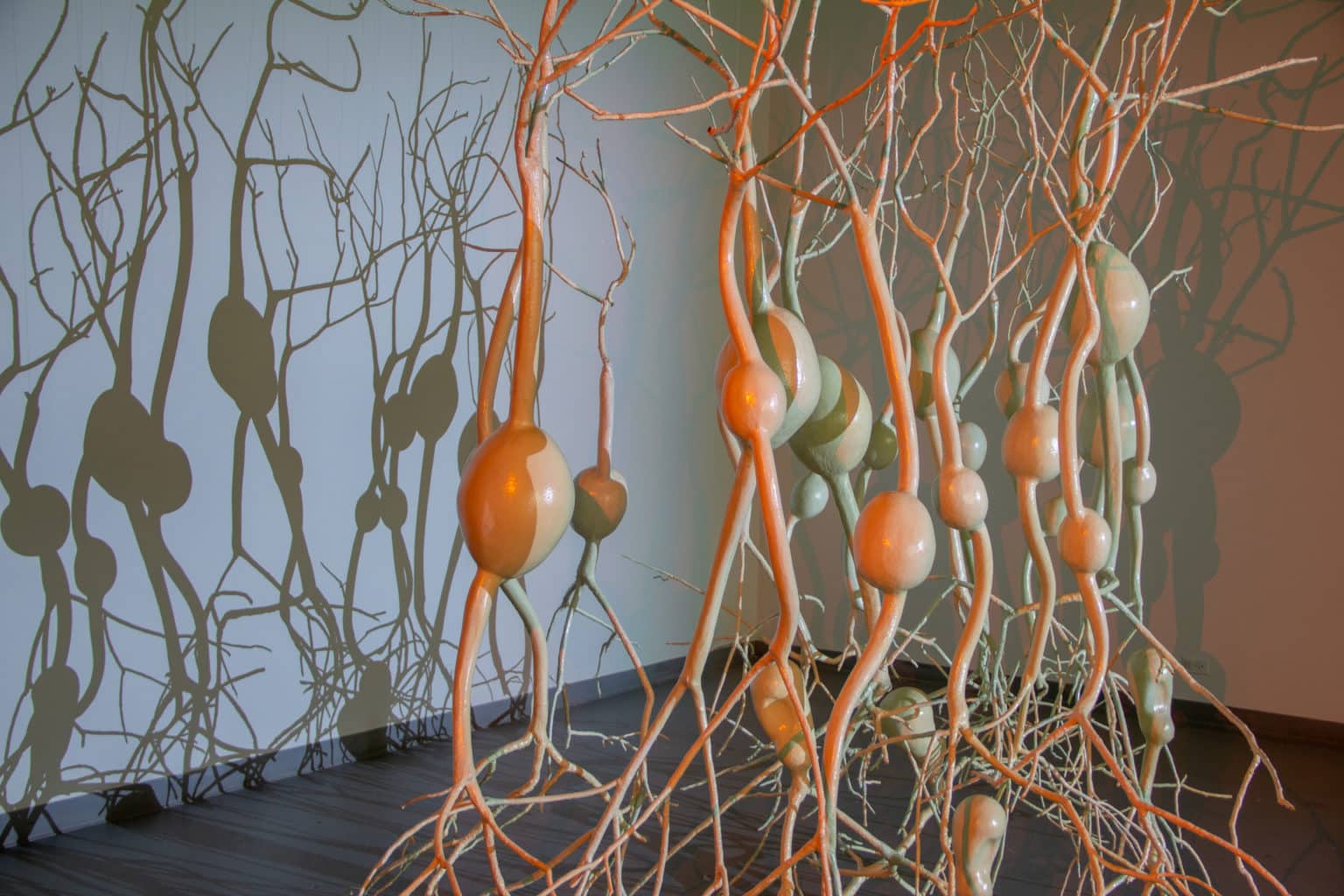 Neuron Forest – Dairy Arts Center