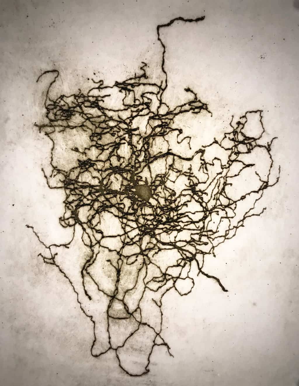 Neuron Forest – Dairy Arts Center